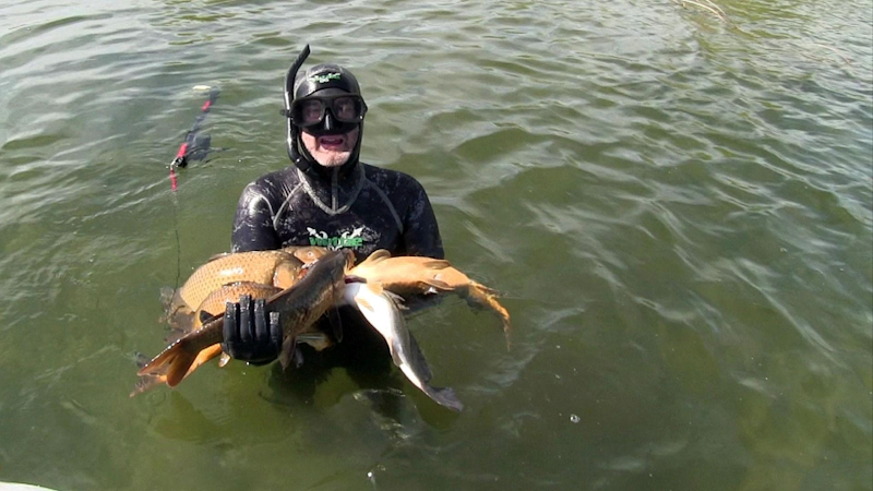 Watch Fishy Business | Full Season | TVNZ OnDemand