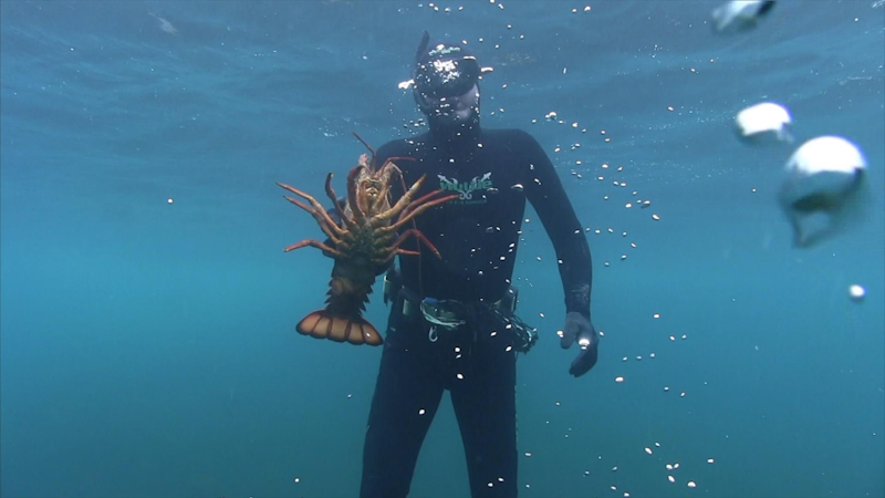 Watch Fishy Business | Full Season | TVNZ OnDemand