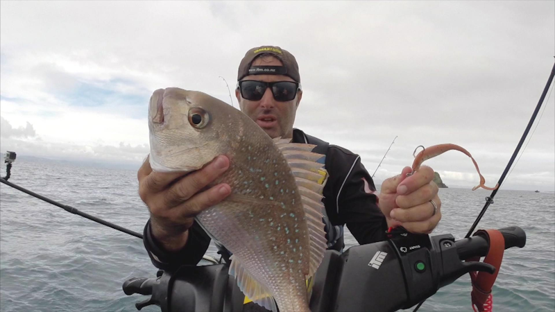 Watch Fishy Business | Full Season | TVNZ OnDemand