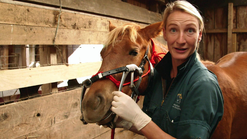 Watch Pet Medics | Full Season | TVNZ OnDemand