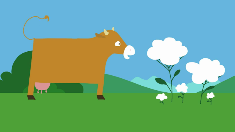 Watch Animanimals | Full Season | TVNZ OnDemand