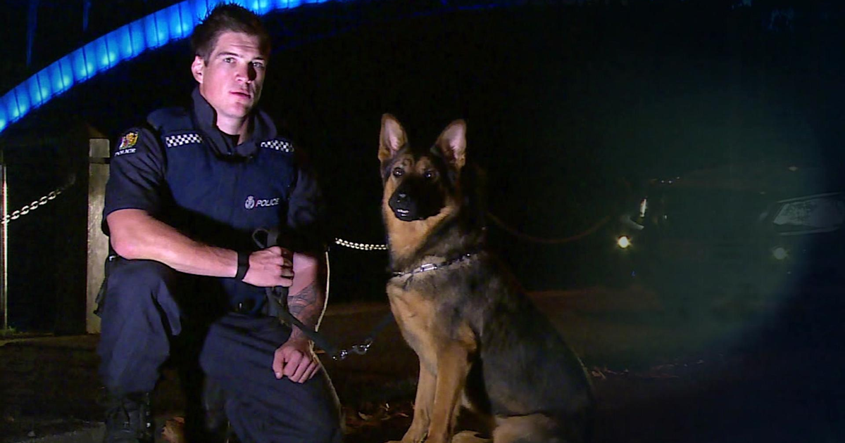 Watch Dog Squad S8E9 | TVNZ OnDemand