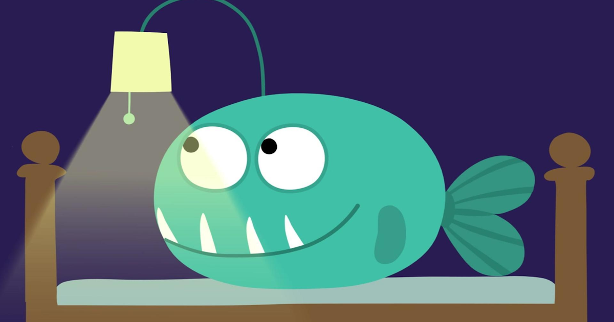 Watch Animanimals S1E16 | TVNZ OnDemand