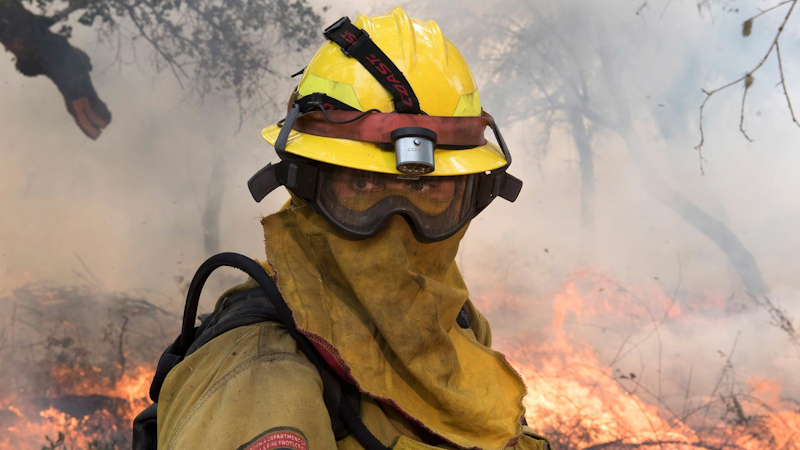 Watch The Human Element | Episodes | TVNZ OnDemand