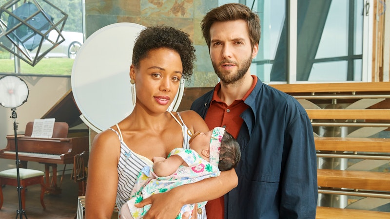 Watch The Feed | Full Seasons | TVNZ OnDemand