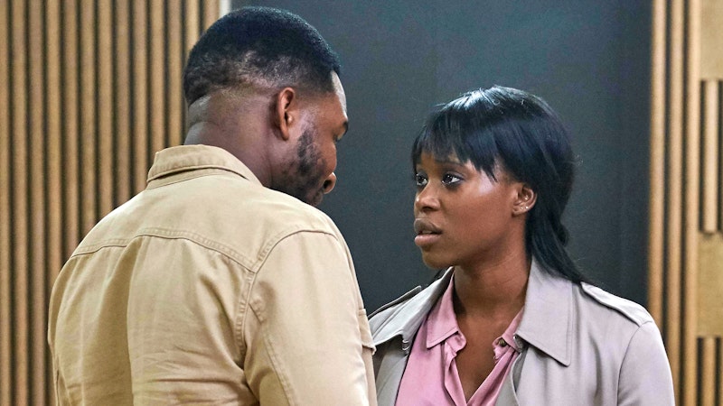 Watch The Feed | Full Seasons | TVNZ OnDemand