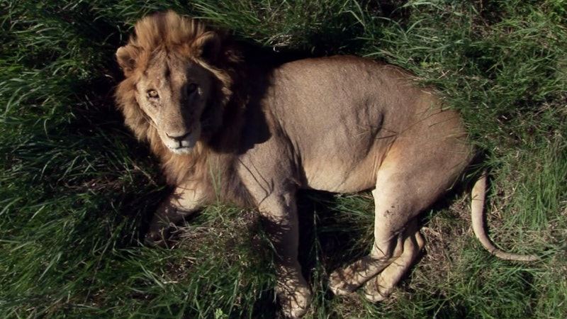 Watch Lost | Full Season | TVNZ OnDemand