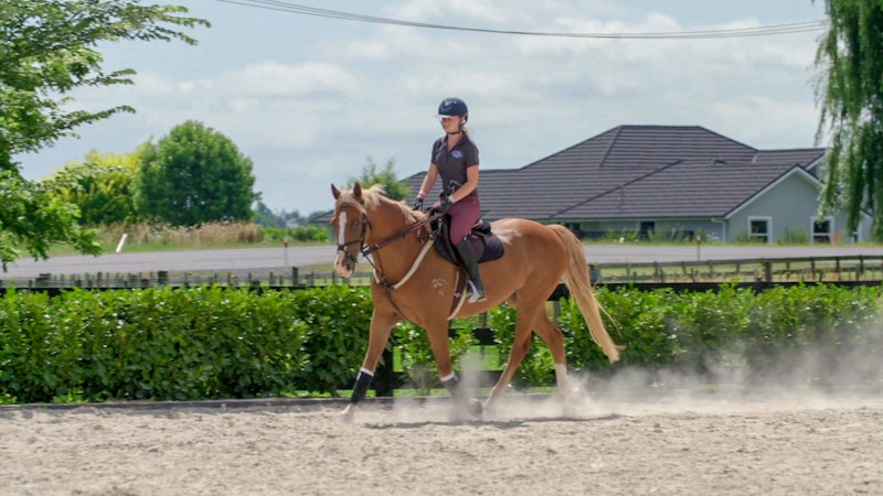 Watch Young Riders | Full Season | TVNZ OnDemand