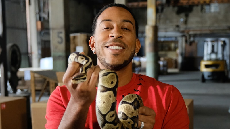 Watch Fear Factor | Episodes | TVNZ OnDemand