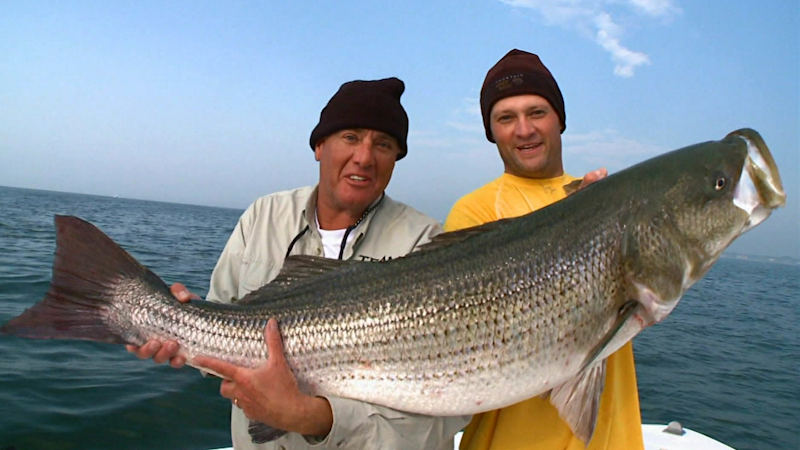 Watch Trev Gowdy's Monster Fish | Full Season | TVNZ OnDemand