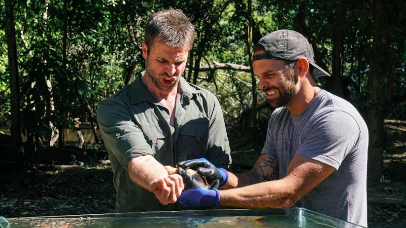 Watch Kings of Pain | Full Season | TVNZ OnDemand