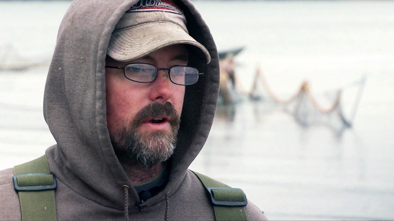 Watch Bottom Feeders | Full Season | TVNZ OnDemand