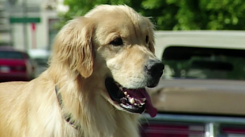 Watch Full House | Full Season | TVNZ OnDemand