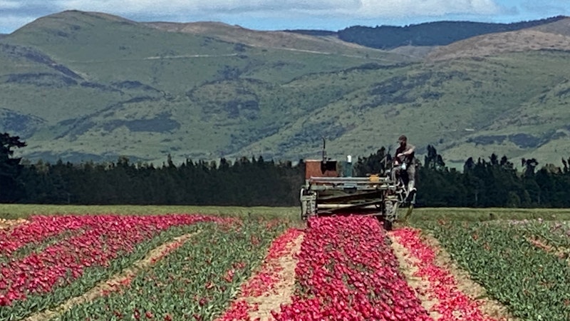 Watch Rural Delivery | Full Season | TVNZ OnDemand