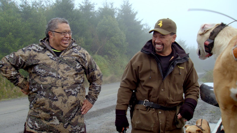 Watch Hunting Aotearoa | Full Season | TVNZ OnDemand