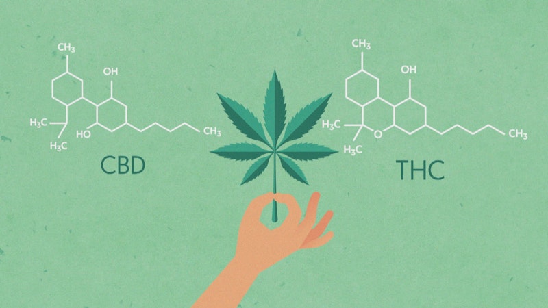 Watch Fair Go | Episodes | TVNZ OnDemand