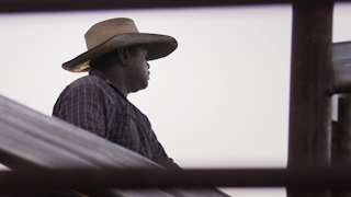 Aussie Bull Catchers