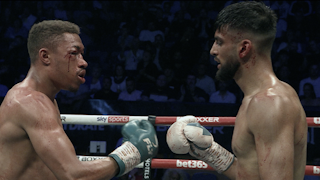 Stable: The Boxing Game