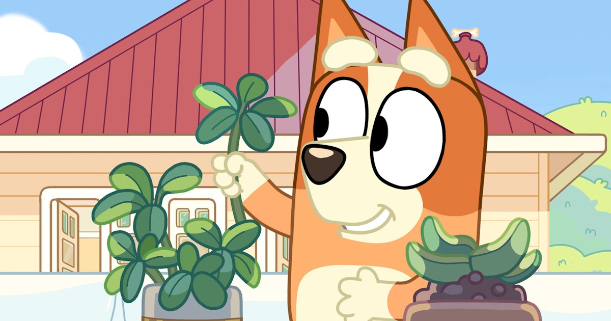 Watch Bluey S1E7 | TVNZ OnDemand